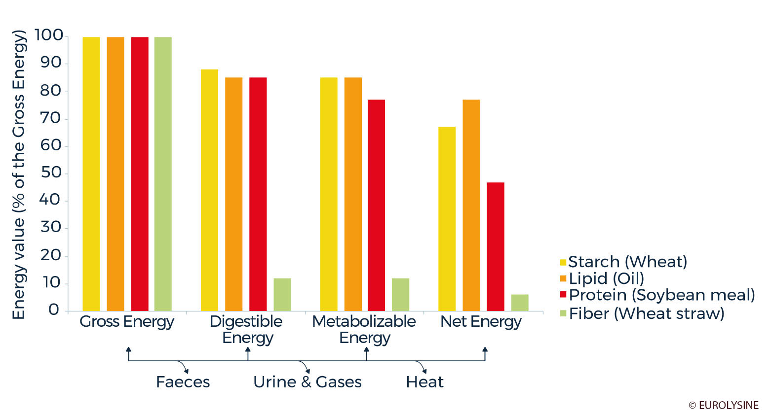 Net Energy system - EvaPig®